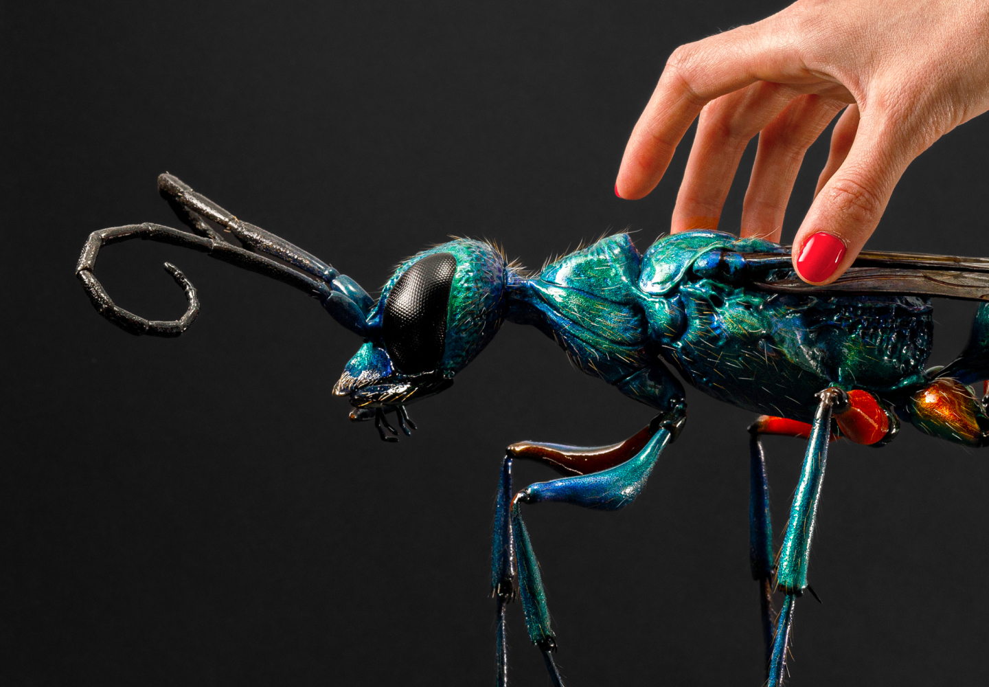 Our services — Minibricks